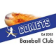 Baseball Ireland