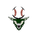 Baseball Ireland